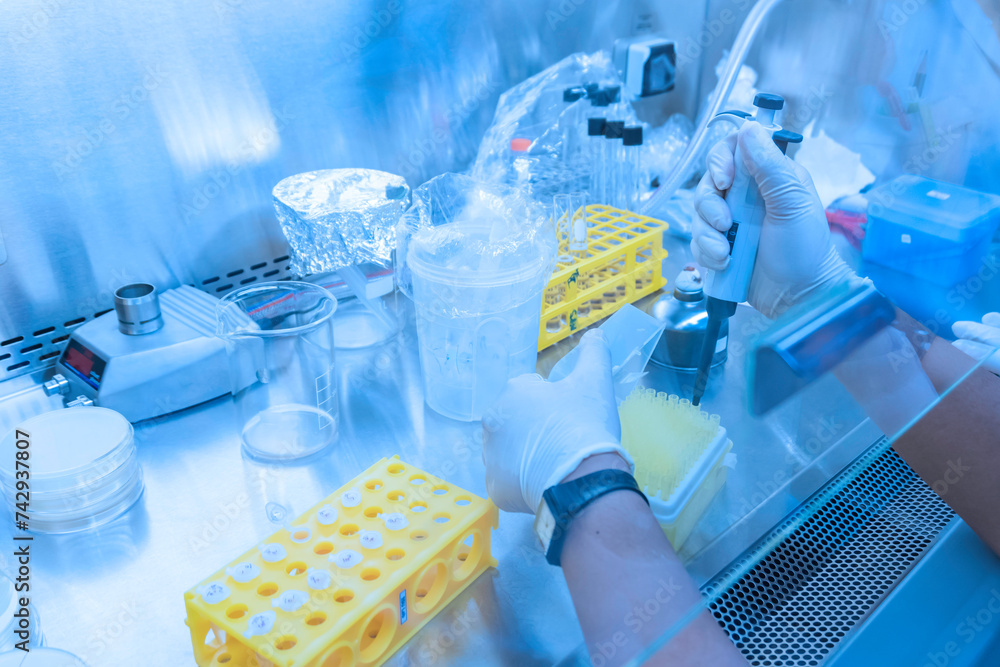 Asian scientist working in the lab,Doing experiment for product,The ...