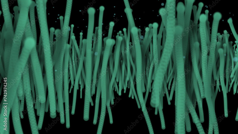 Seaweed with air bubbles at the nascent stage. 3D. 4K. Isolated black ... Seaweed with air bubbles at the nascent stage. 3D. 4K. Isolated black ...