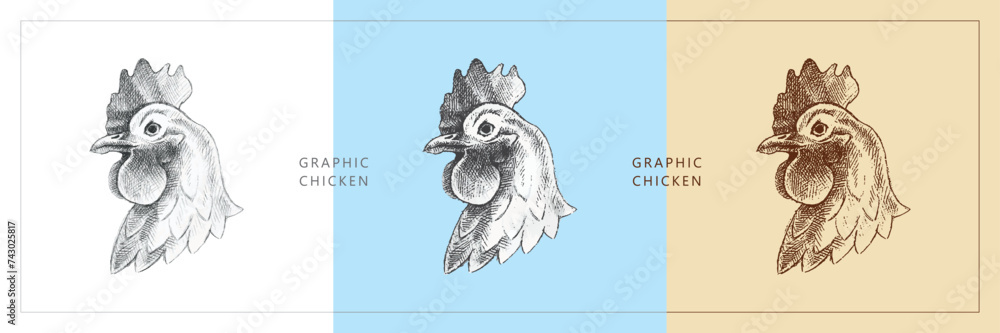Vetor de Three sketch drawings of a chicken's head. Pencil drawing on ...