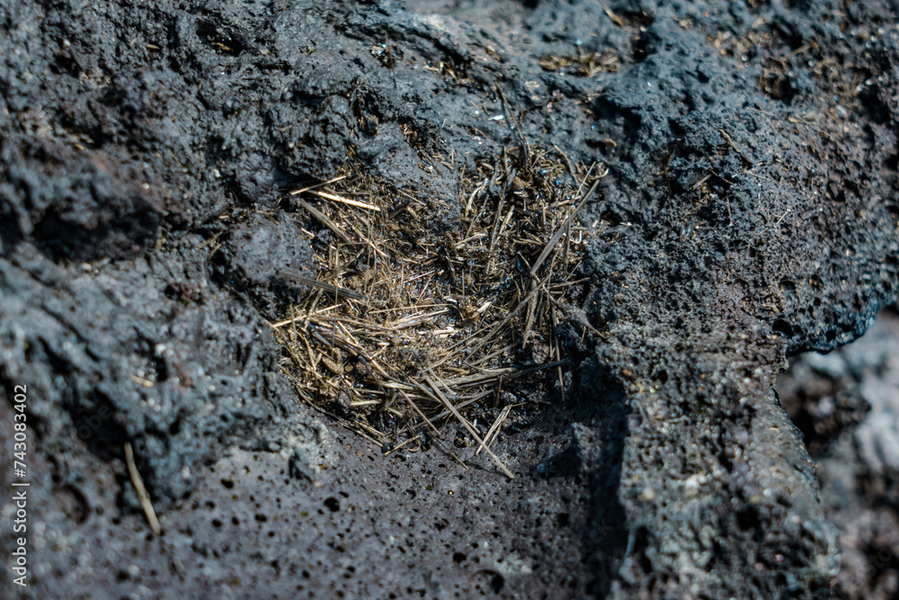 Pele's hair is a volcanic glass formation produced from cooled lava ...