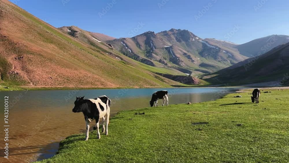 Video Stock Lake Bolshoy Arashan is located at an altitude of 2770 m ...