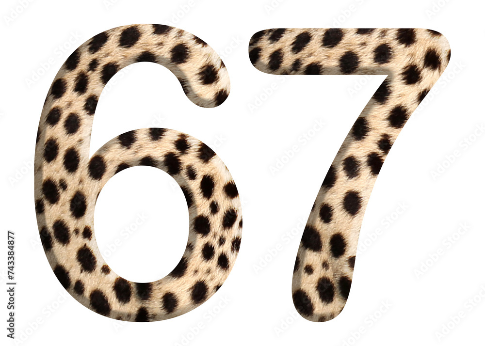 The shape of the number 67 is made of cheetah fur or skin isolated on ...