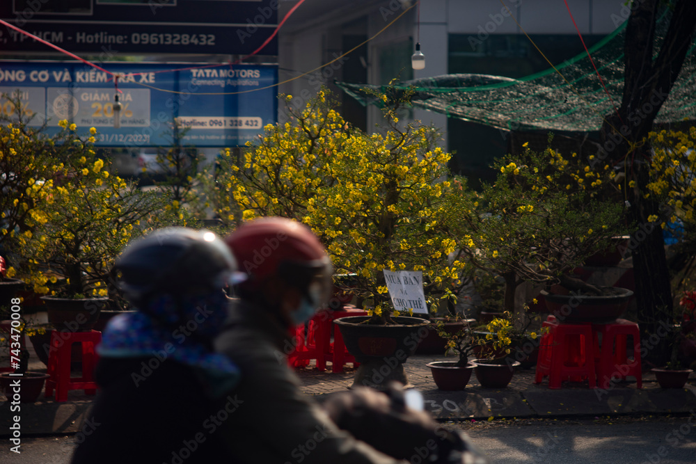 Traditional Tet of Vietnamese people has sacred and beautiful things in ...