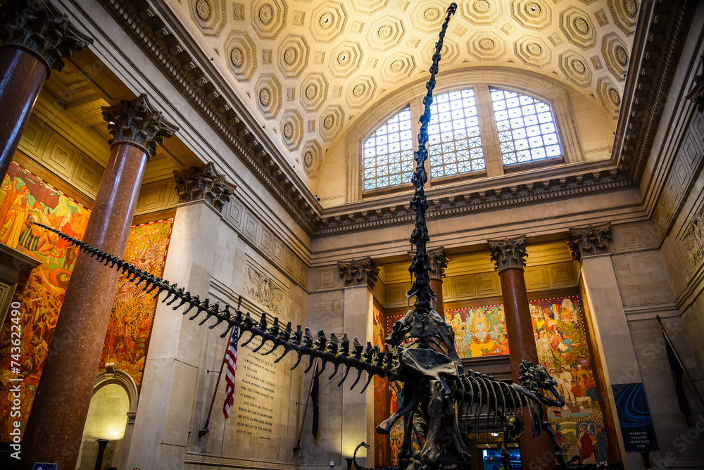 The Theodore Rooseveld Rotunda with its Iconic Barosaurus and ...