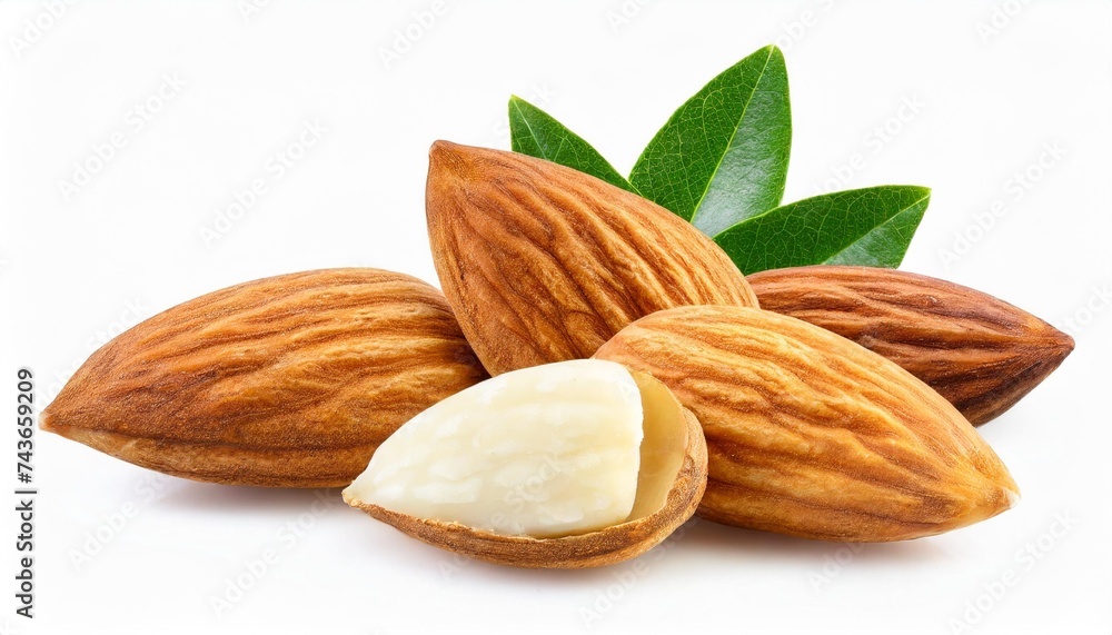 almond isolated almonds on white background almond set whole cut half ...