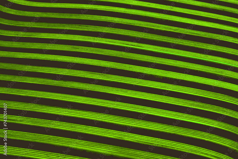 Neon green slats natural wood lath line arrange pattern texture ...