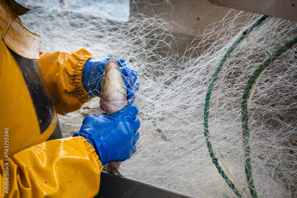 Pêche au filet à bord d'un bateau de pêche Stock Photo | Adobe Stock