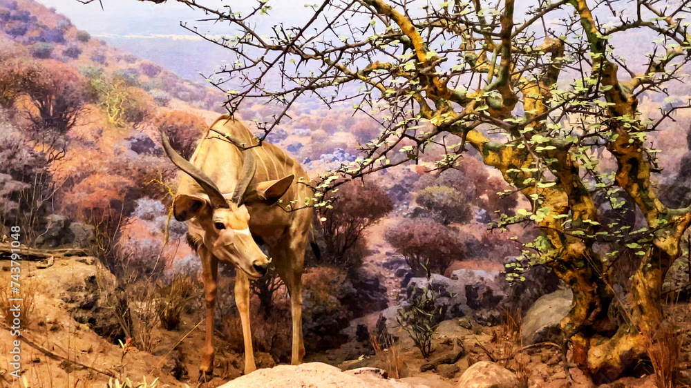 New York, USA; January 10, 2024: A diorama of bioclimatic landscapes ...