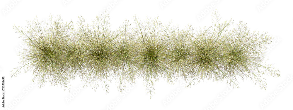 Top view long grass row perspective for landscape clipart on ...