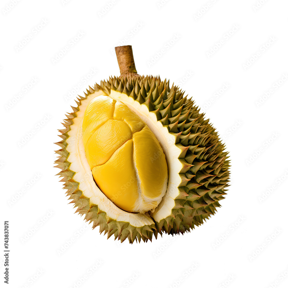 durian isolated, transparent background white background no background ...