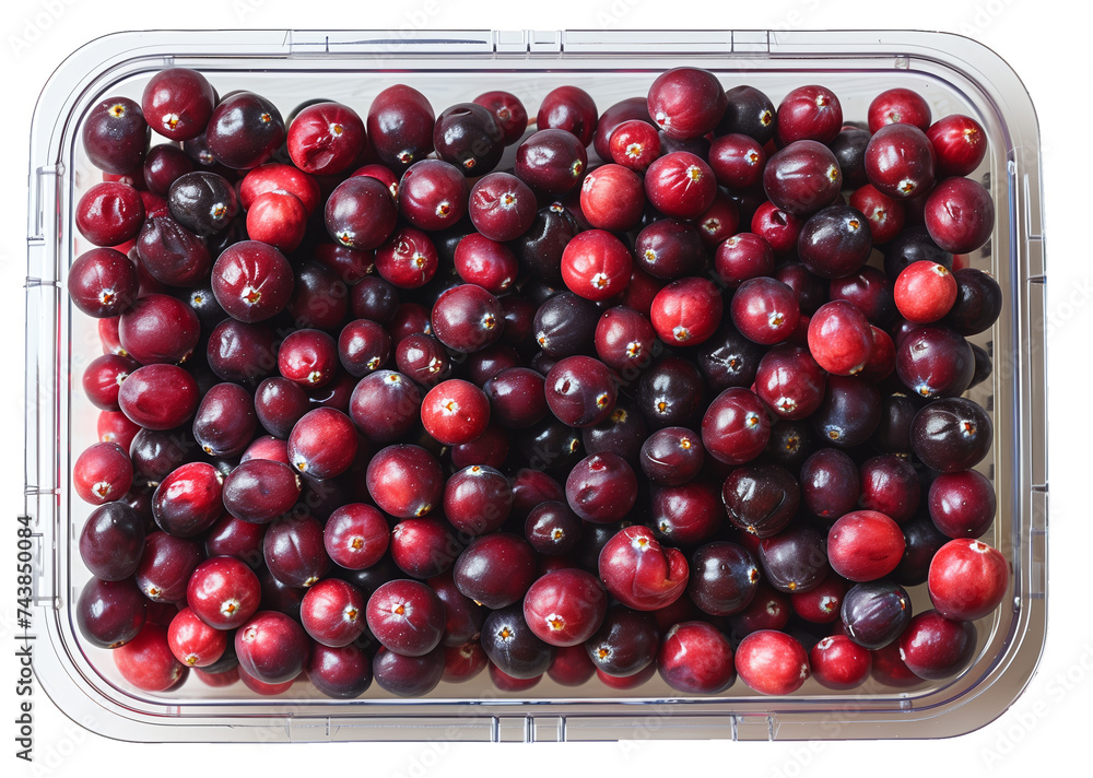 Cranberries pack isolated on transparent background. Png and jpeg files ...