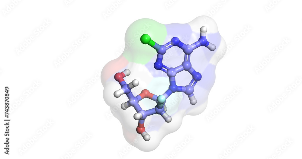 Clofarabine, purine nucleoside anticancer drug against acute ...