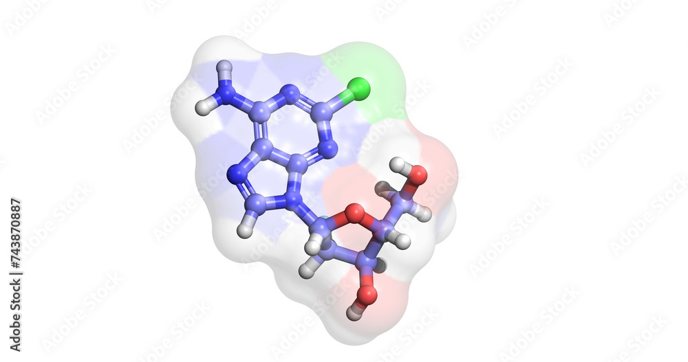 Clofarabine, purine nucleoside anticancer drug against acute ...