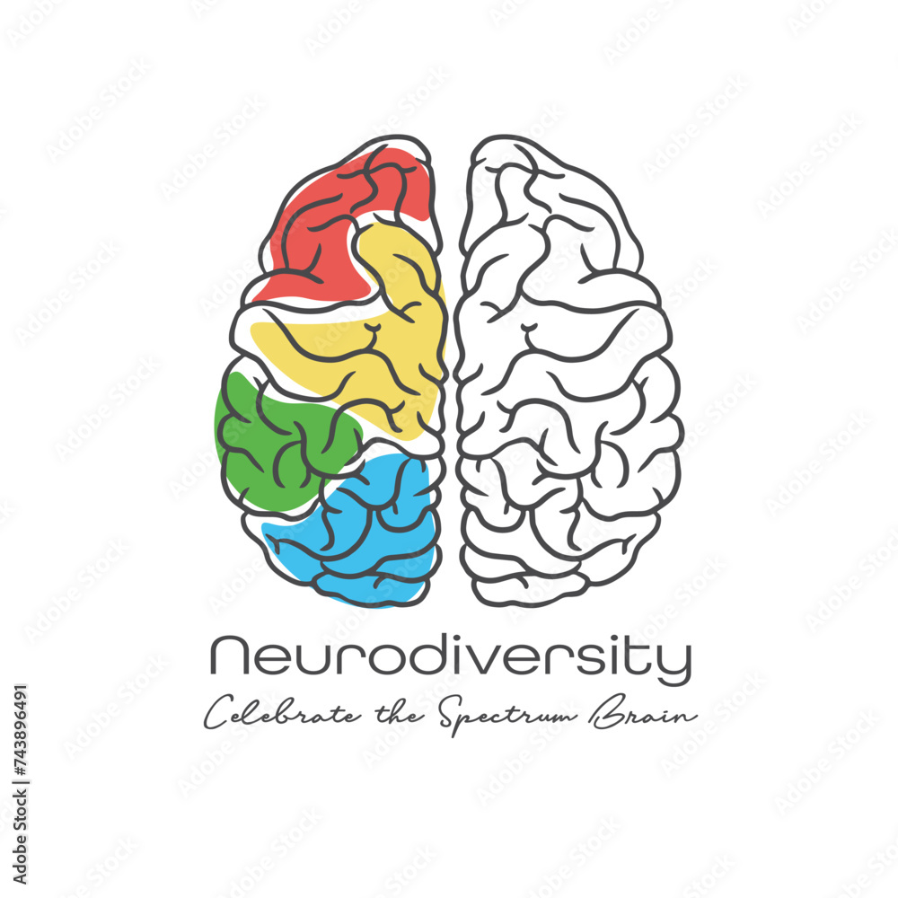 Human brain anatomy vector autism brain neurodiversity clip art Stock ...