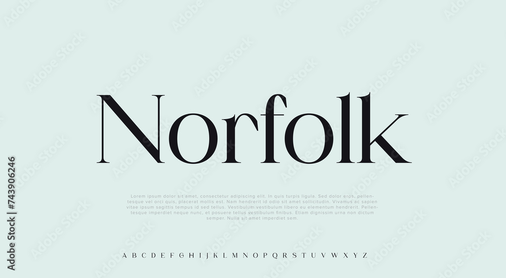 Vector Norfolk logo fashion store gold and white chic font elite ...