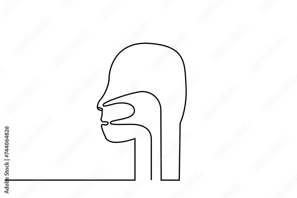 human anatomy head respiratory pipe esophagus physical lecture one line ...