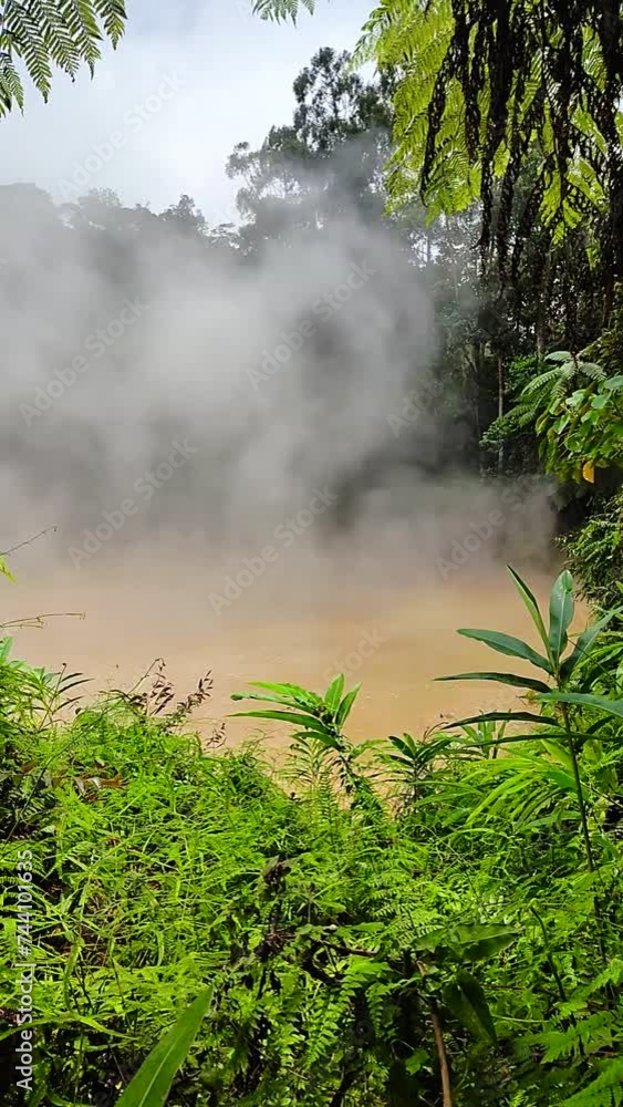 Tropical mountain forest with hot spring muddy lake. Mud lake Agco ...