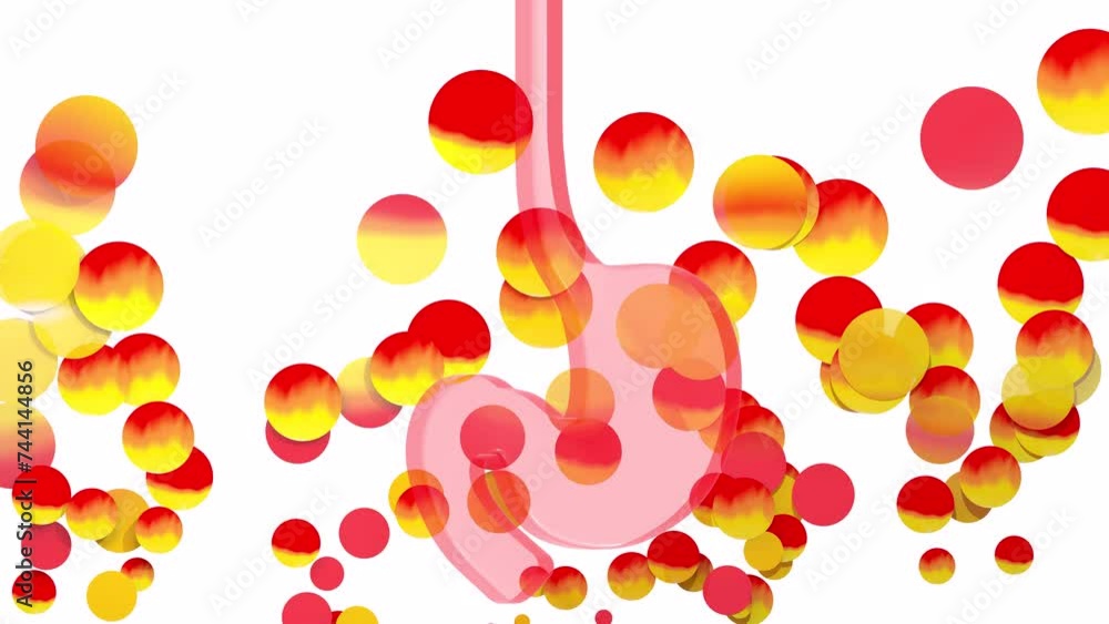 3d animation of stomach surrounded by circles of fire. Moving in the ...