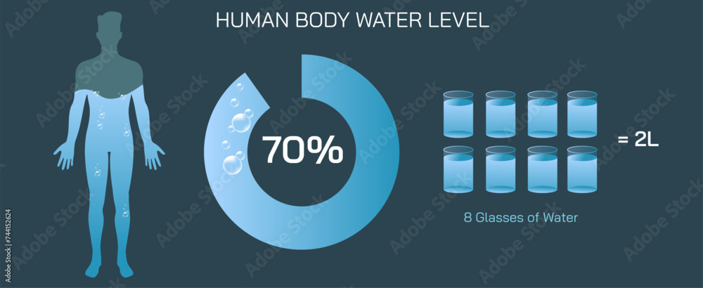 The importance of hydration. The average and ideal water level in your ...