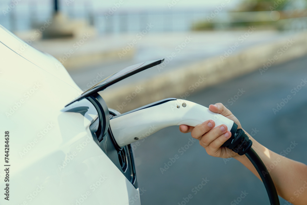 Kid's hand insert EV charger plug into electric vehicle, recharge EV ...