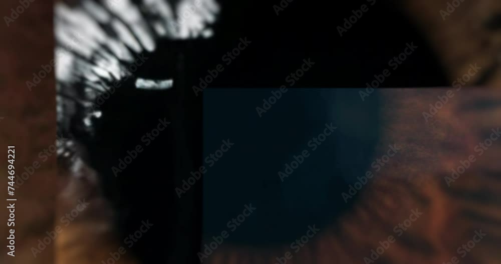 Zoom on deconstructed human eyes puzzle from people around the world ...