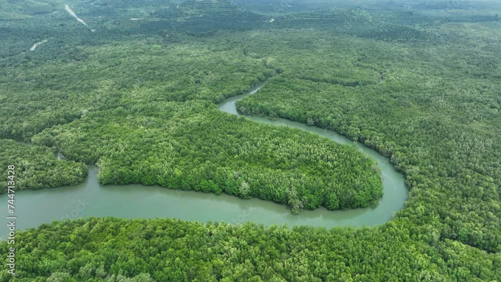 beautiful mountain natural green field wetlands of forest in the wild ...