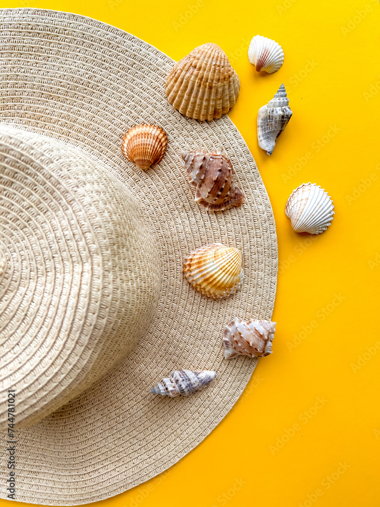 Sea shells on yellow background, summer vacation, top view Stock Photo ...