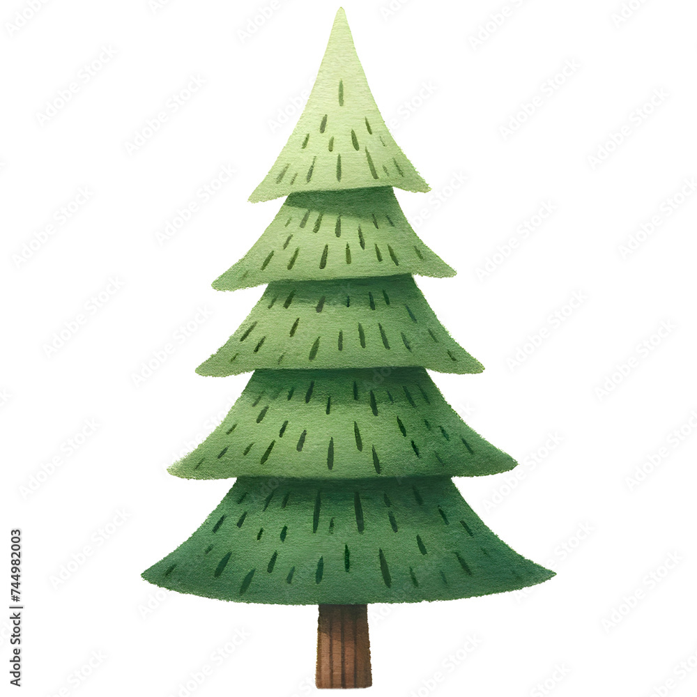 Watercolor pine tree clipart with transparent background Stock ...