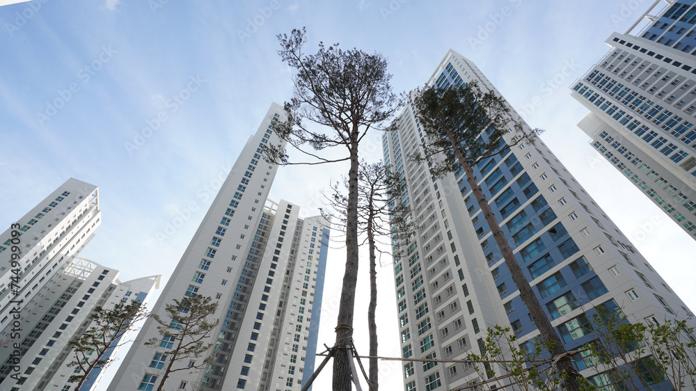 urban high-rise buildings apartments sky clouds tree nature city life ...