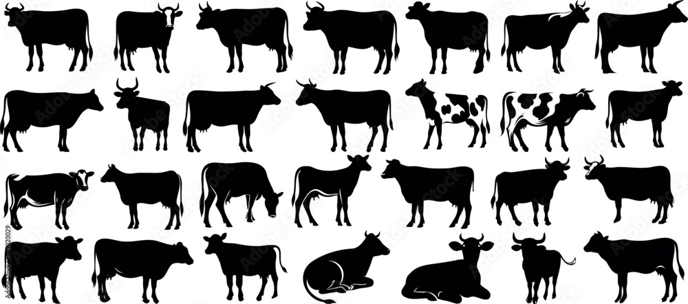 Cow silhouettes in diverse positions, perfect for agriculture, dairy ...
