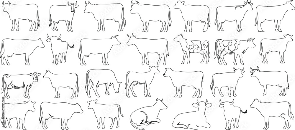 Outlined cows in various poses, perfect for educational, farming ...