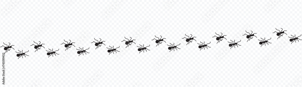 Ant trail. Little ant trail isolated on white backgrpund. Ants moving ...