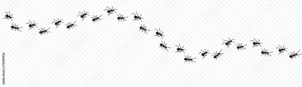 Ant trail. Little ant trail isolated on white backgrpund. Ants moving ...