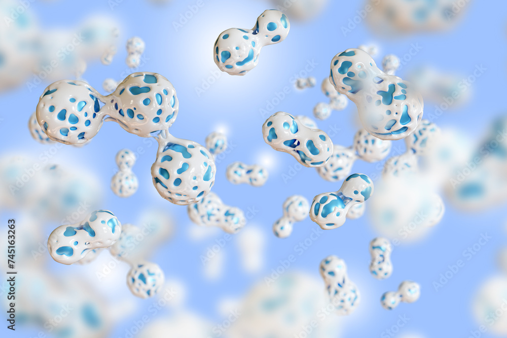 Lactobacilli cells in organisms. Bifidobacteria for immunity ...
