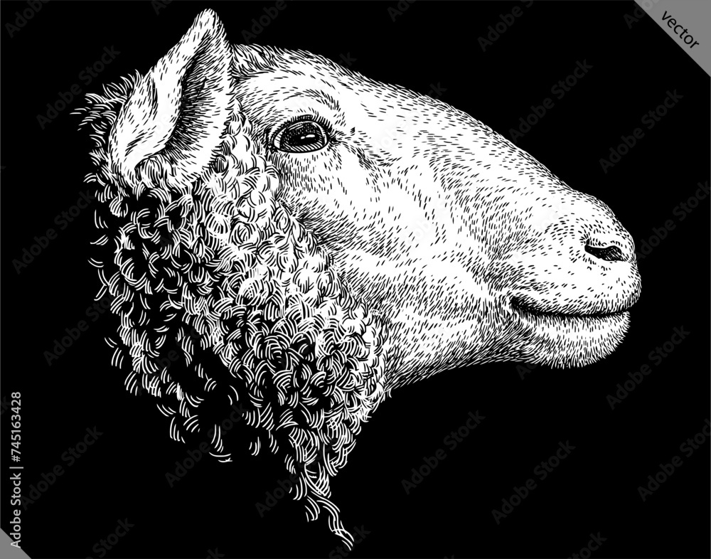 Vintage engraving isolated lamb set illustration ram ink sketch. Farm ...