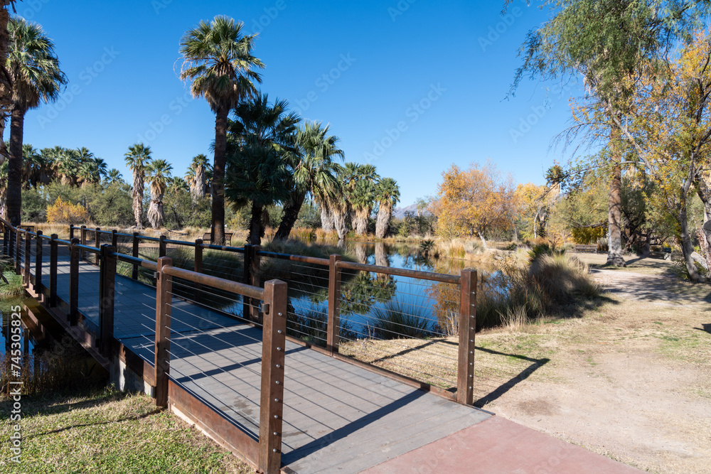 Agua Caliente Regional Park in Tucson Arizona, beautiful mirror ...