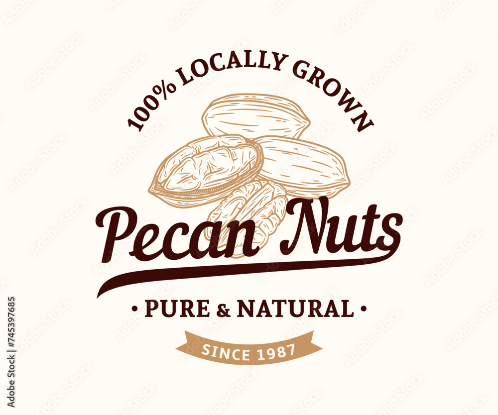 Vector pecan vintage logo. Nuts label design. Pecan nut kernels and ...