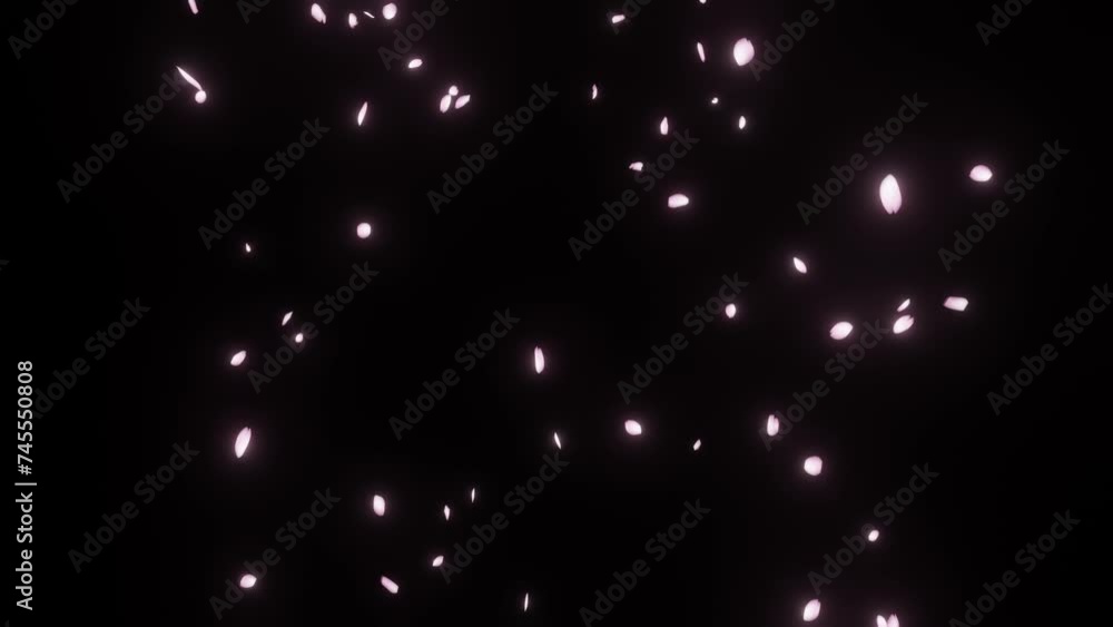 Cherry blossom petals falling particle animation (PNG Background) - (4K ...