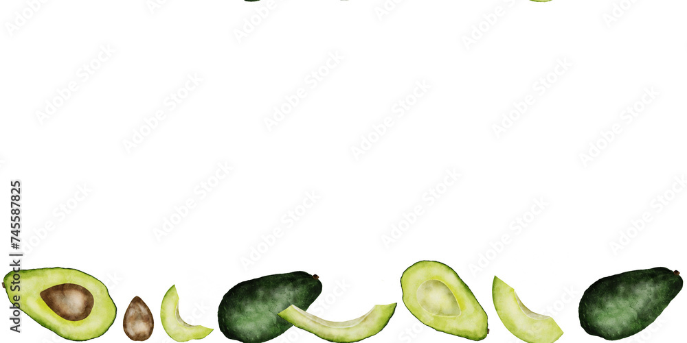 Avocado watercolor border. Hand drawn isolated on white background ...