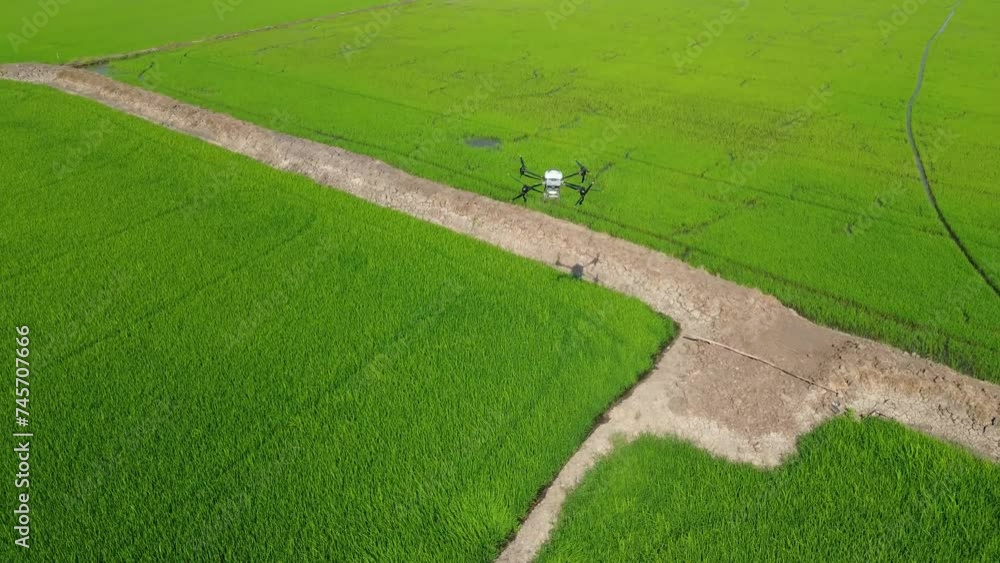 Modern technologies in agriculture. Agriculture drone fly to sprayed ...