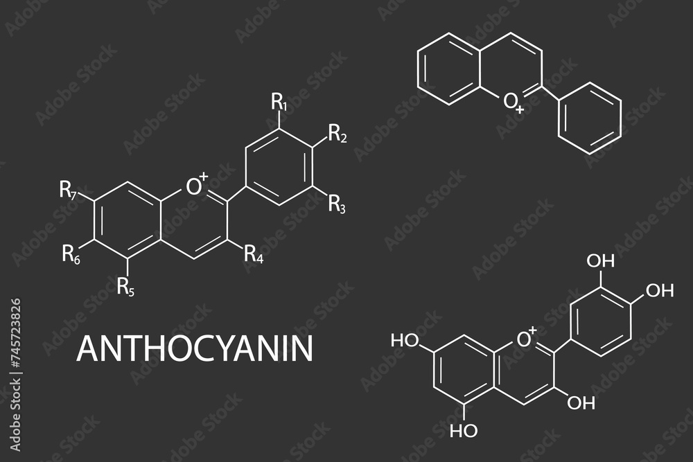 anthocyanin molecular skeletal chemical formula Stock Vector | Adobe Stock
