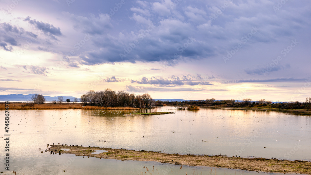 Dreamy landscape at nature reserve of the Isonzo river mouth, Isola ...