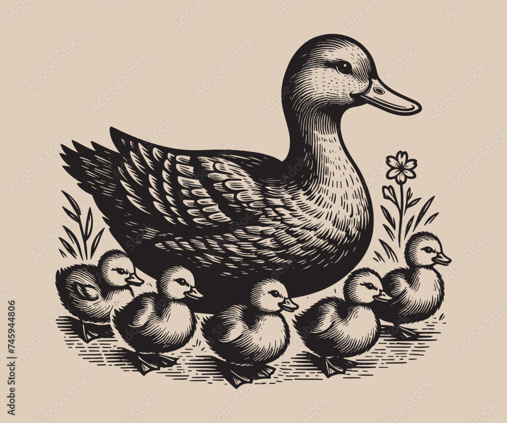 Duck with ducklings. Old vintage engraving illustration. Hand drawn ...