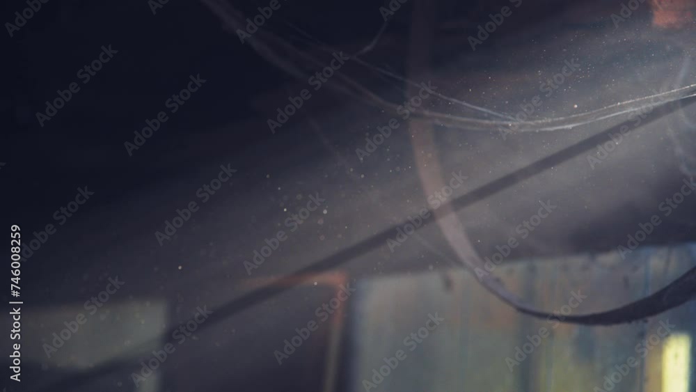 Background of movement of natural aesthetic floating dust particles in ...