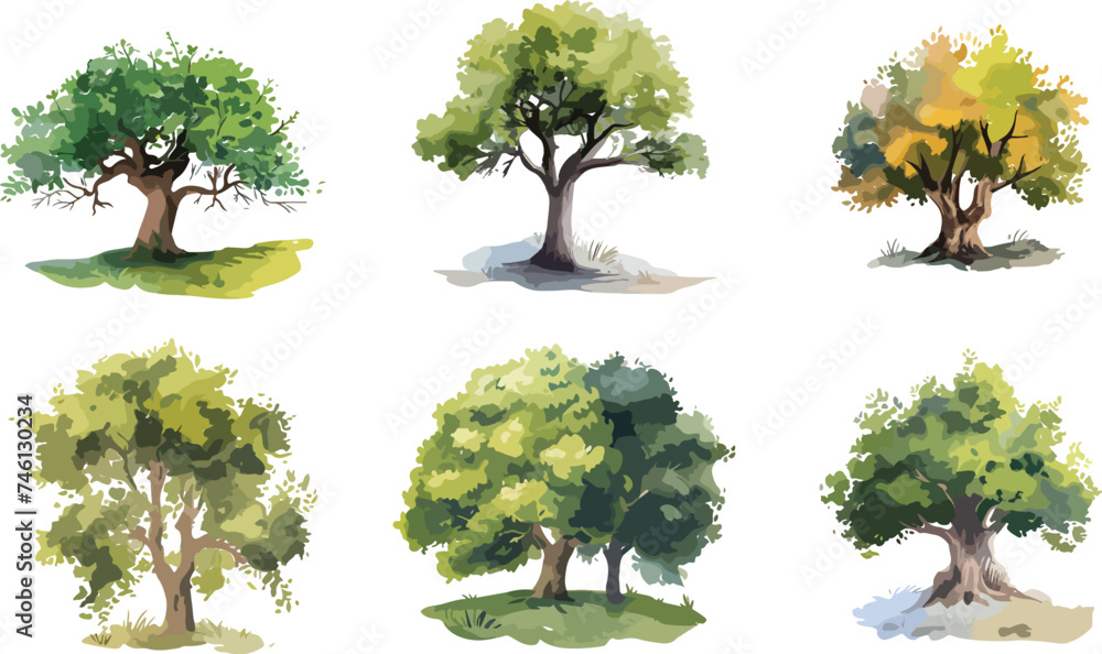 Set of watercolor green tree isolated on white background for landscape ...