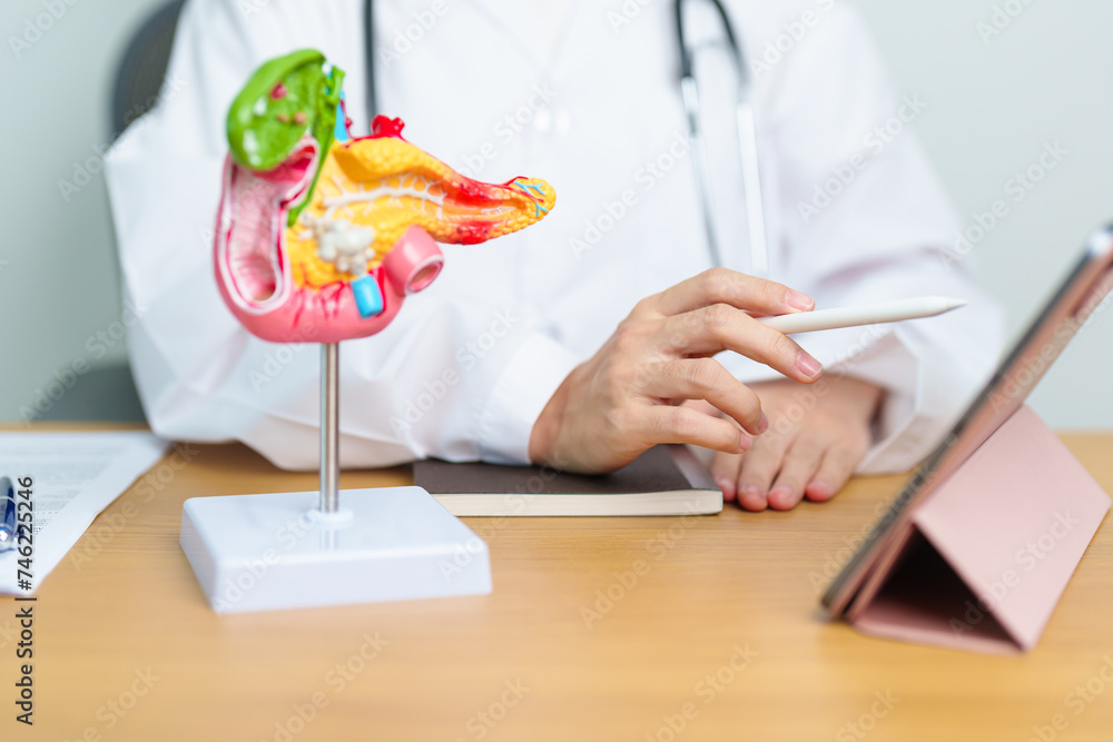 Doctor with human Pancreatitis anatomy model with Pancreas, Gallbladder ...