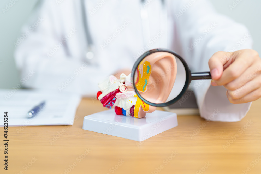 Doctor with human Ear anatomy model with magnifying glass. Ear disease ...