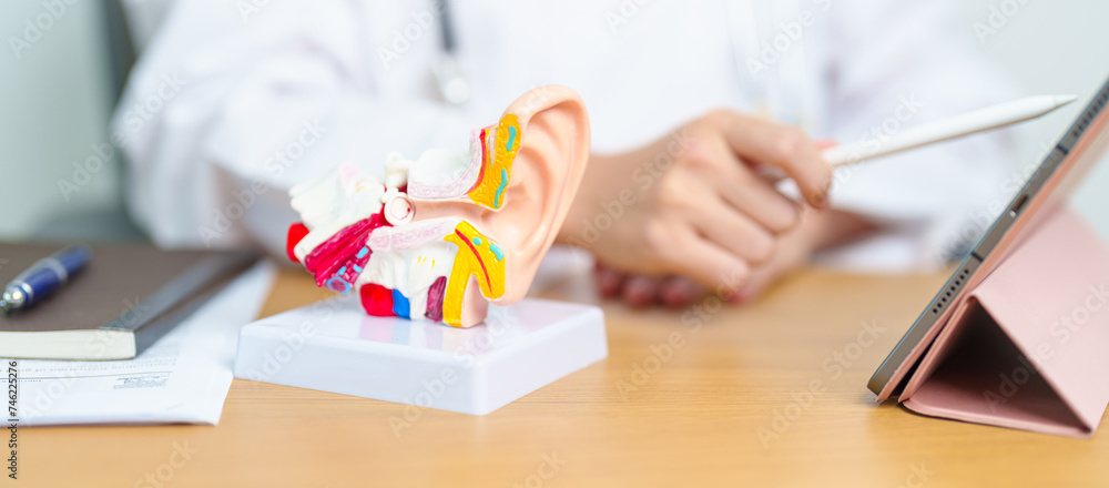 Doctor with human Ear anatomy model with tablet. Ear disease, Atresia ...
