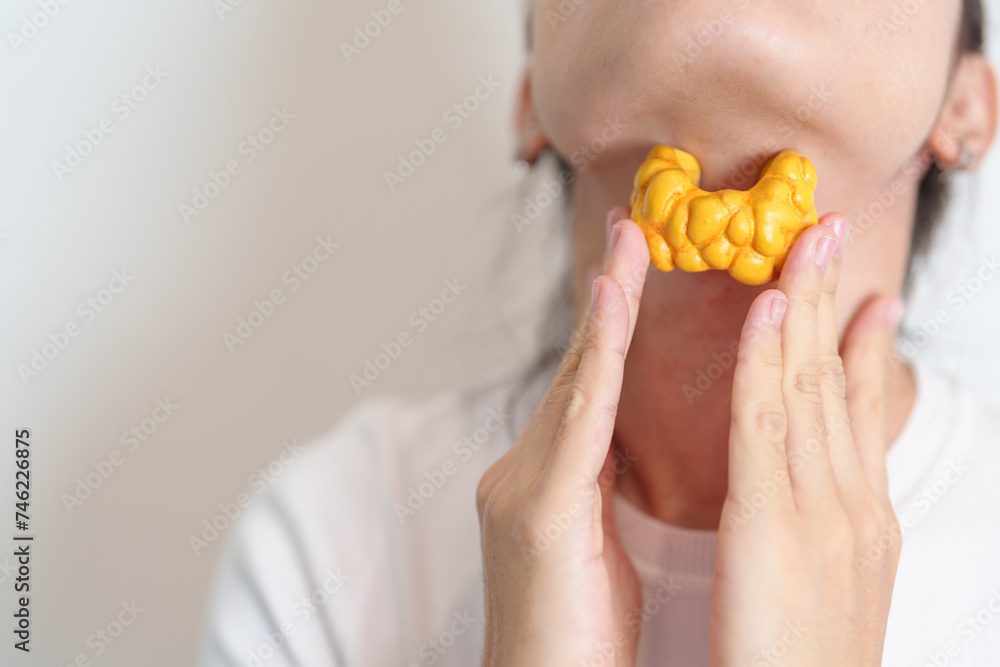Woman holding human Thyroid anatomy model with her Neck ...