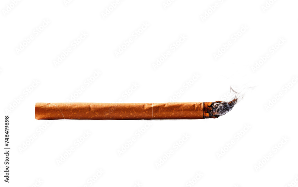 Cigarette. A single cigarette is prominently displayed on a plain white ...